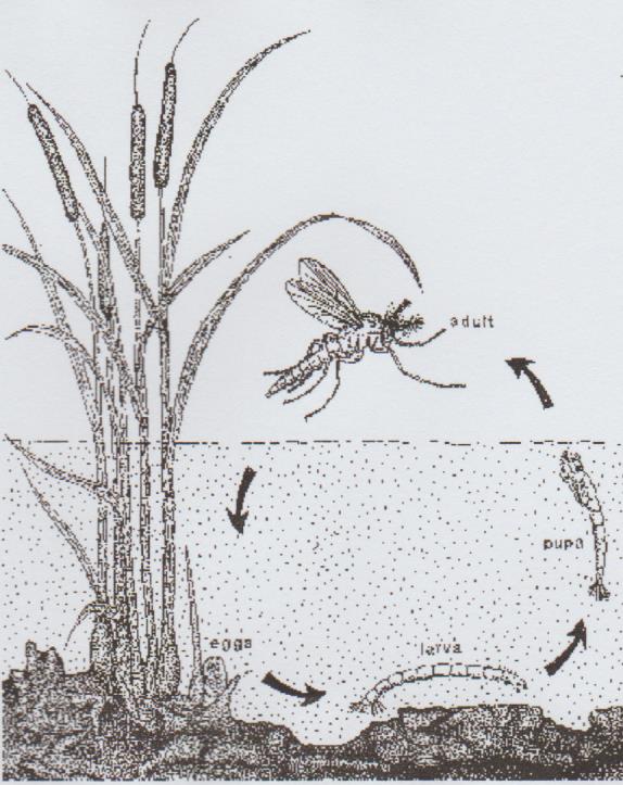 22 Langford Quality Control | WaterMatters